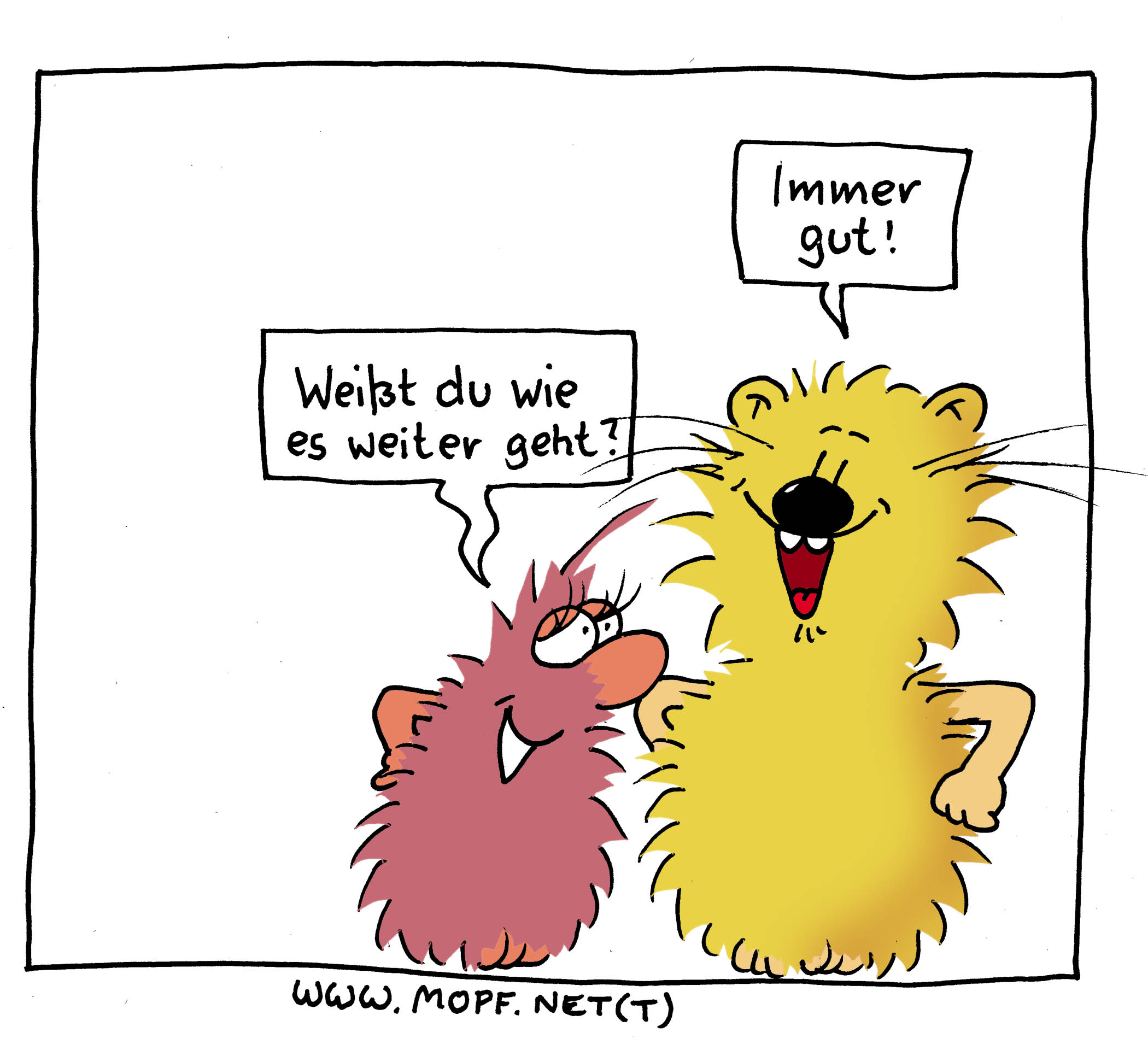 Wie Geht Es Weiter Mopf der Blog